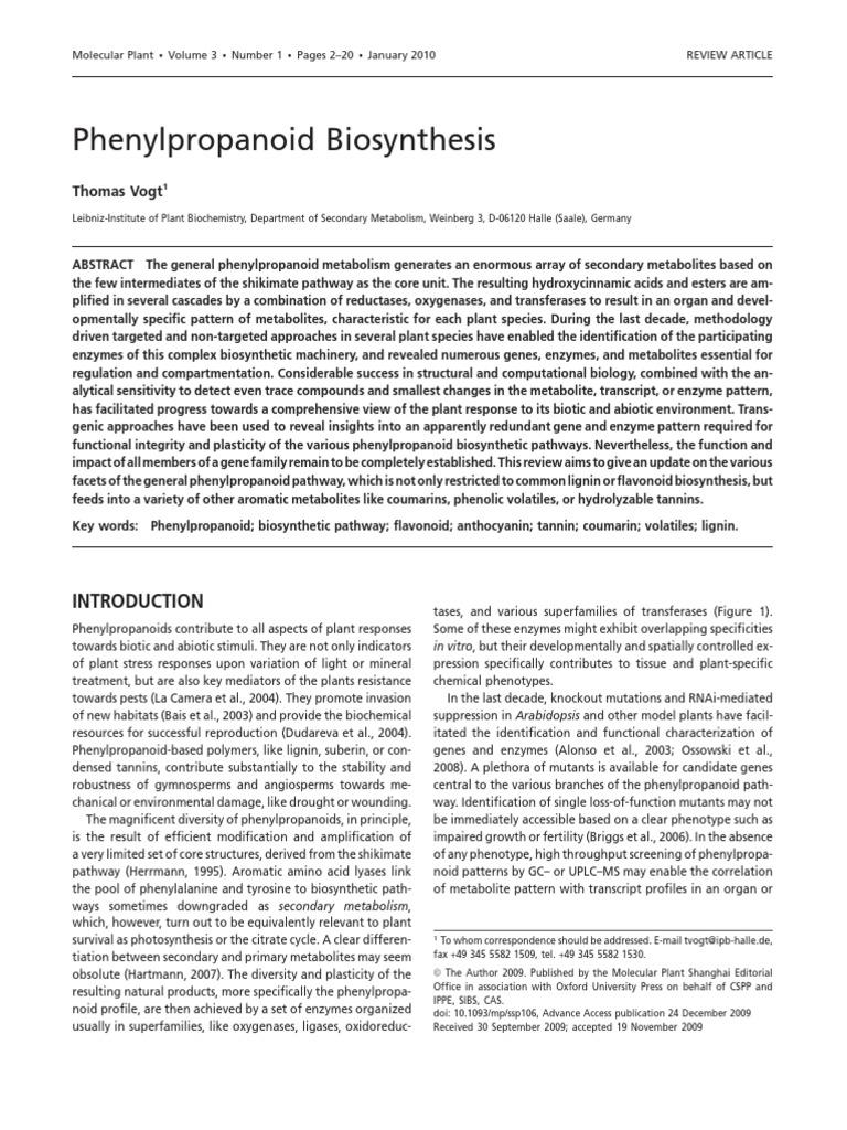 Phenylpropanoid Biosynthesis | PDF | Metabolism | Lignin