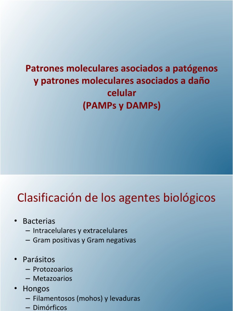 PAMPs y DAMPs | PDF | Inflamación | Las bacterias