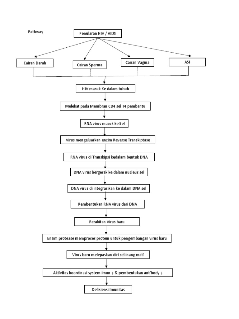Pathway HIV AIDS | PDF