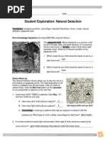 Peppered Moths - Natural Selection Game | PDF