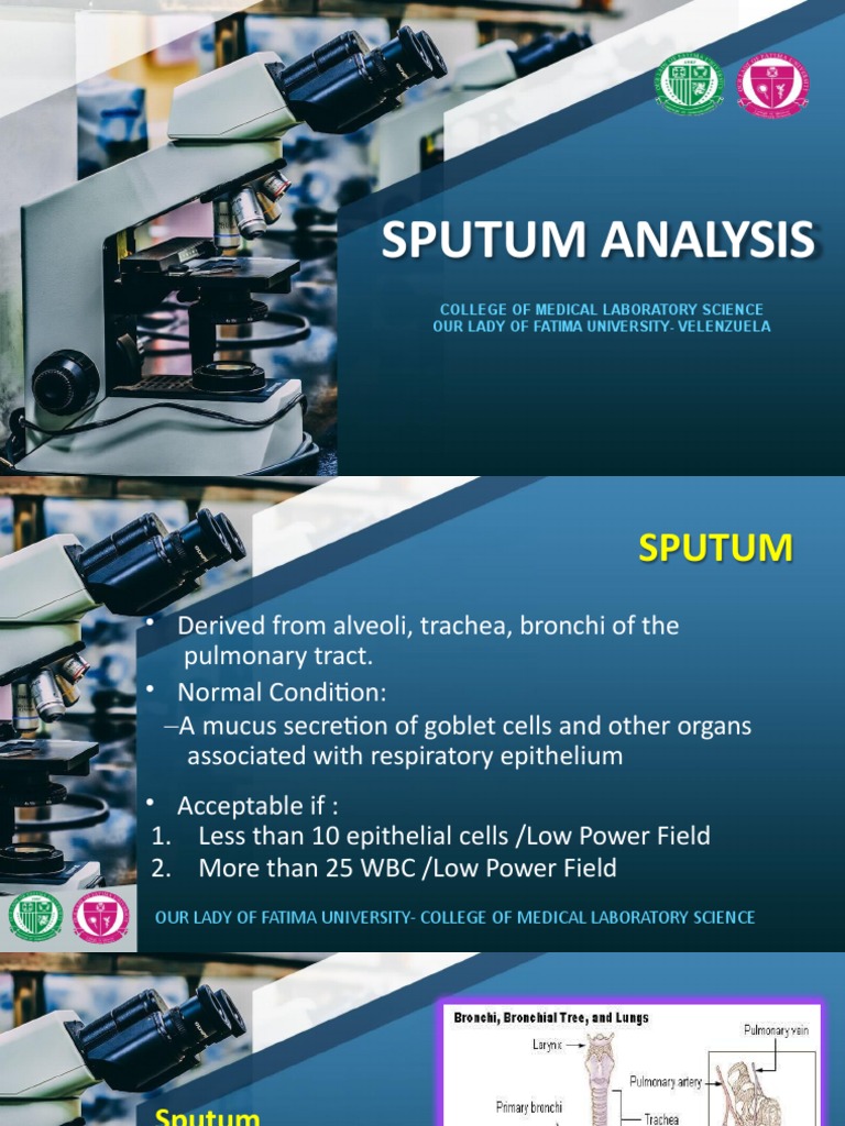Sputum Analysis and Bal | Download Free PDF | Lung | Respiratory Tract