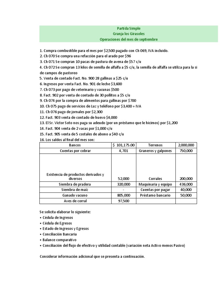 Formatos Partida Simple | PDF | Contabilidad | Organismos