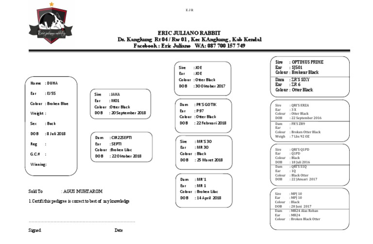 Eric Juliano Rabbit Ds. Kangkung RT 04 / RW 01, Kec Kangkung, Kab ...