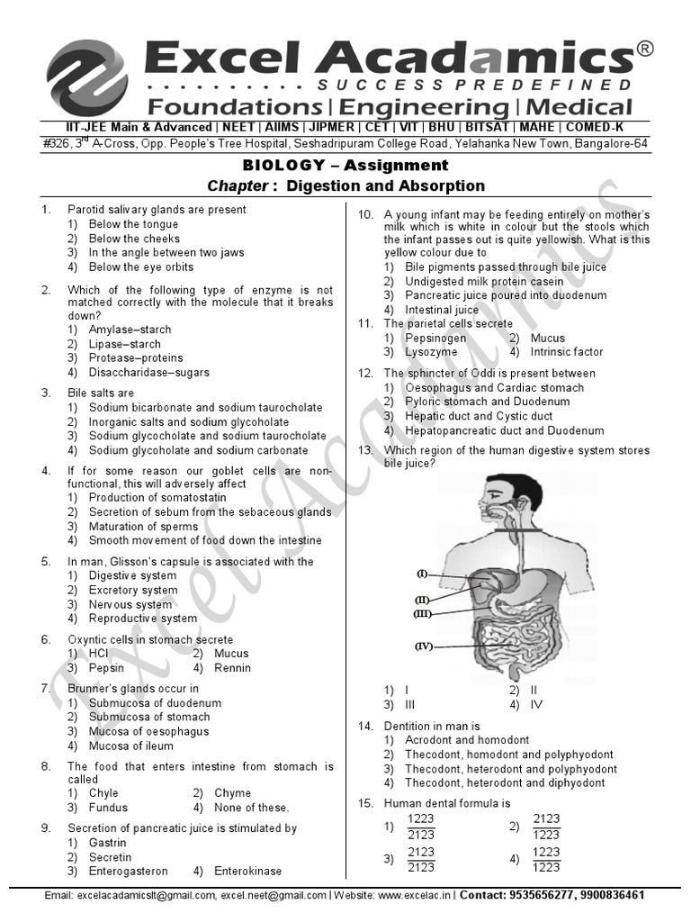 Chapter: Digestion and Absorption: BIOLOGY - Assignment | PDF | Digestion | Stomach