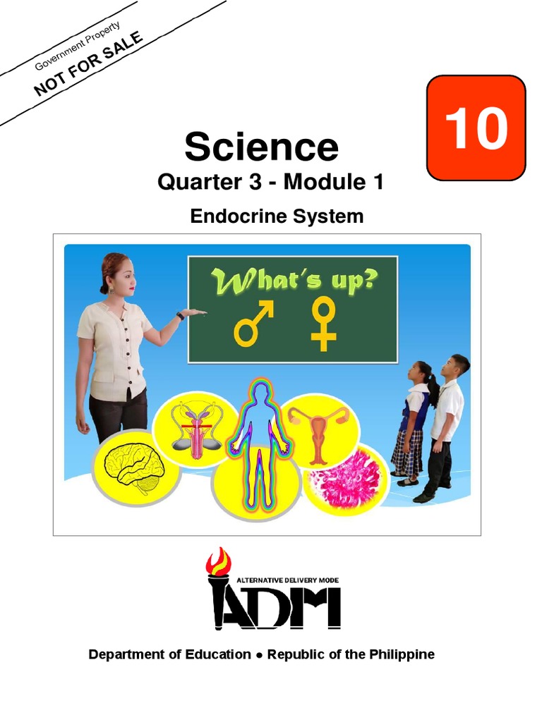 3rd Quarter Science Module 1 | PDF | Endocrine System | Human Body