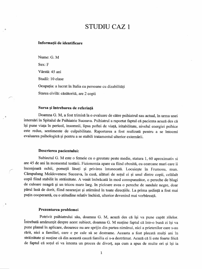 Raport Exemplu | PDF