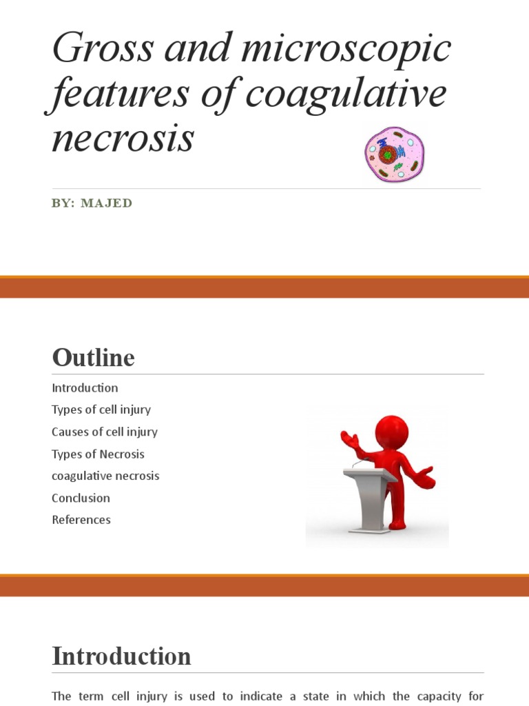 Gross and Microscopic Features of Coagulative Necrosis: By: Majed | PDF ...