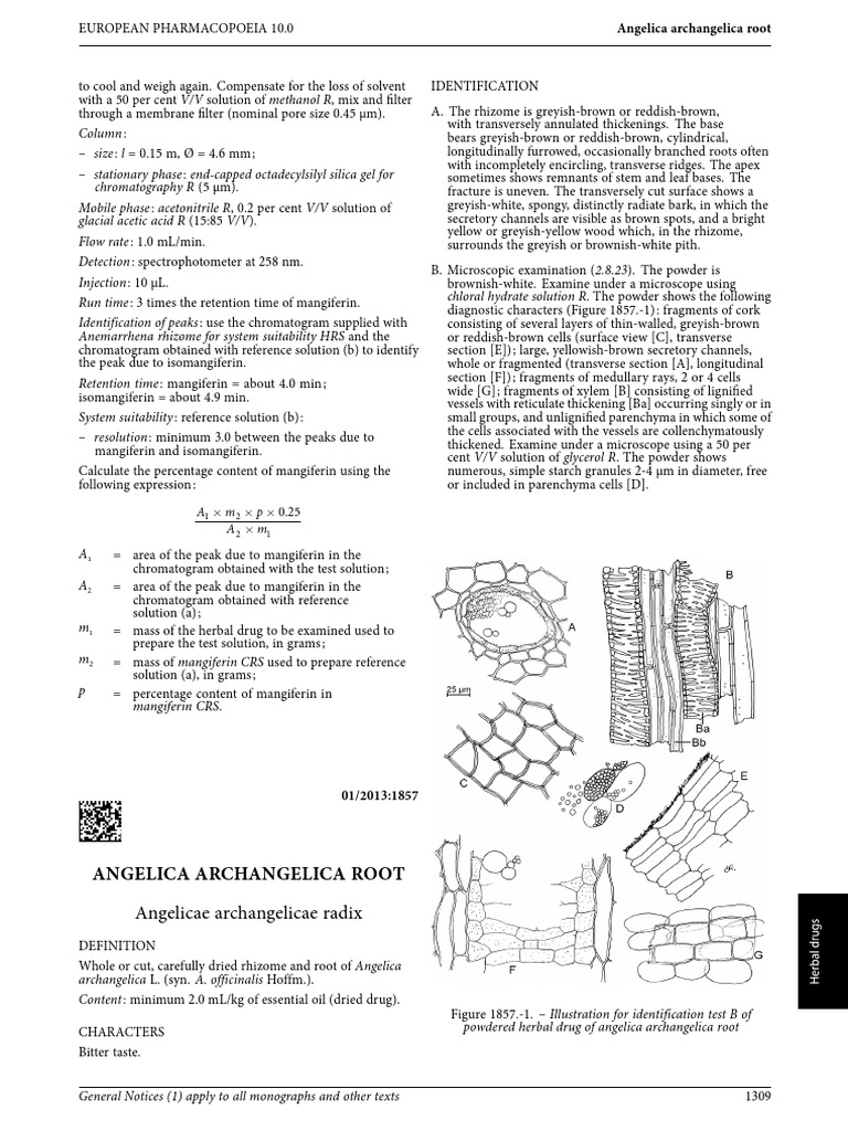 Angelica Archangelica Root Analysis | PDF | Chromatography | Chemistry