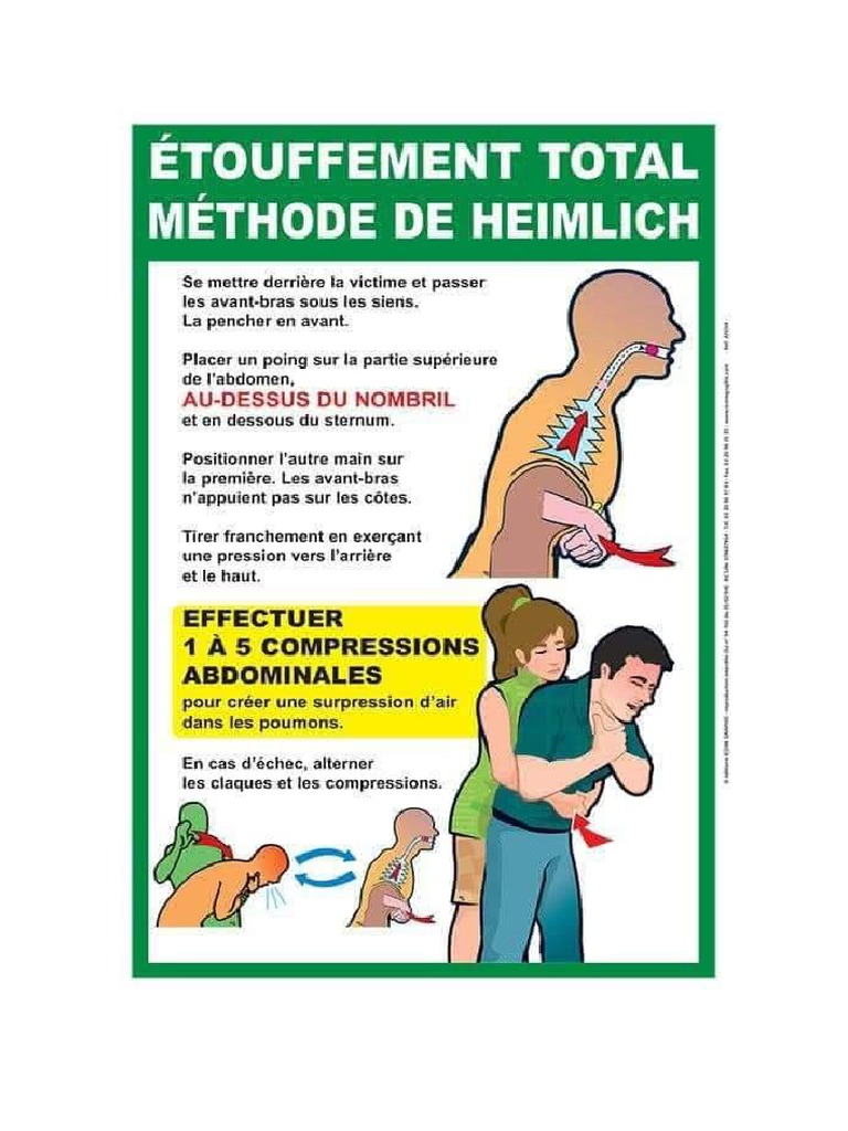 Les Gestes de Premier Secours | PDF