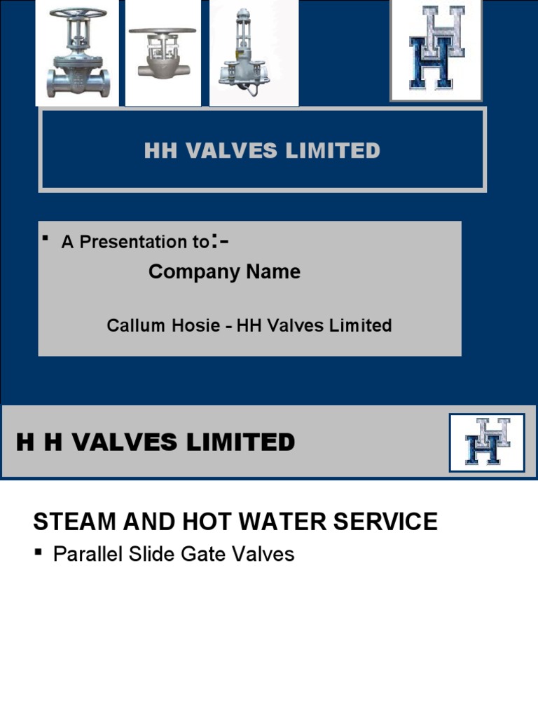 HH Valves Limited: Company Name | PDF | Valve | Nondestructive Testing