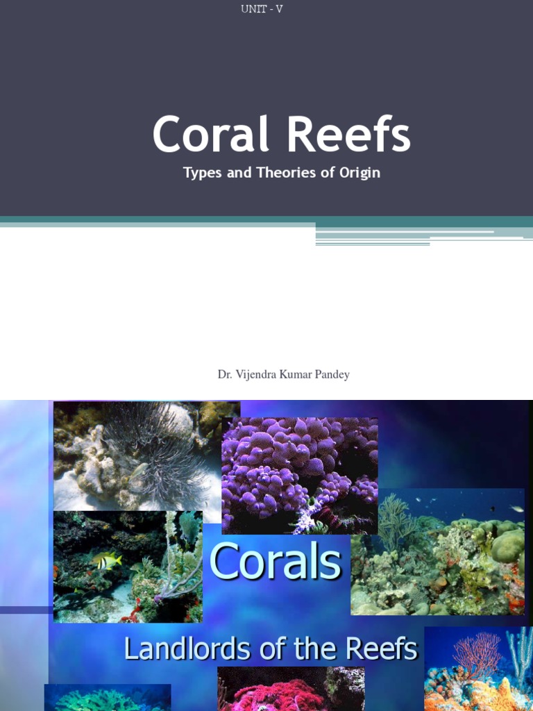 Coral Reefs: Types and Theories of Origin | PDF | Coral Reef | Lagoon