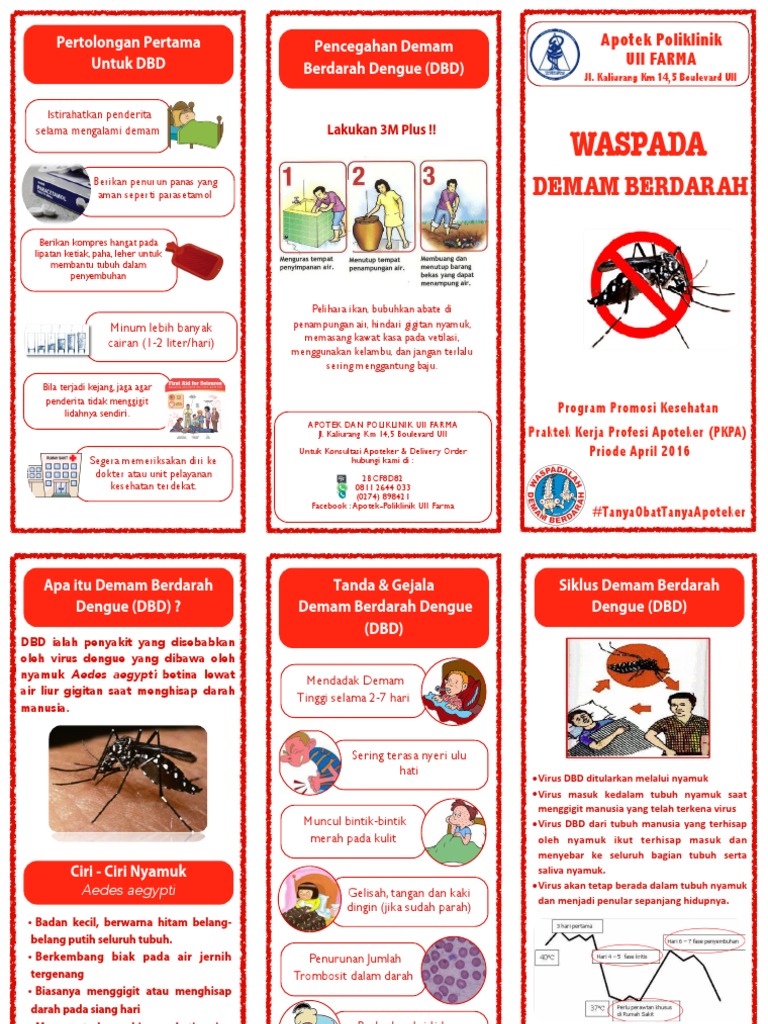 Leaflet DBD Pkpa April | PDF