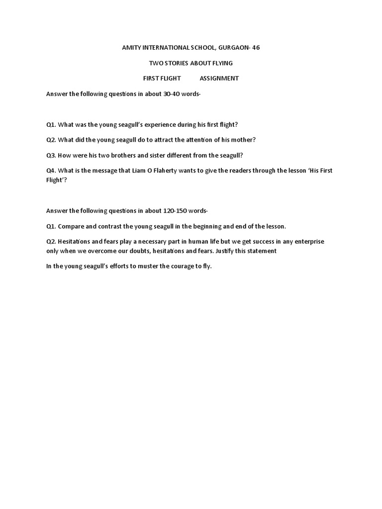 A Bird's First Flight: Analyzing a Short Story About a Young Seagull ...