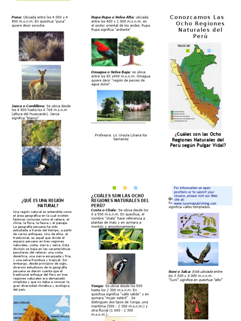 8 Regiones Naturales Del Peru | Perú | Selva