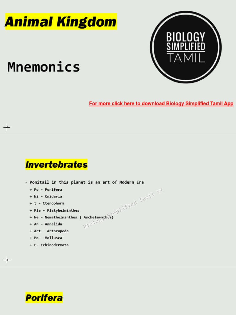 Animal Kingdom Mnemonics | PDF