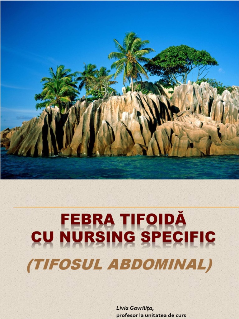 Febra Tifoida | PDF