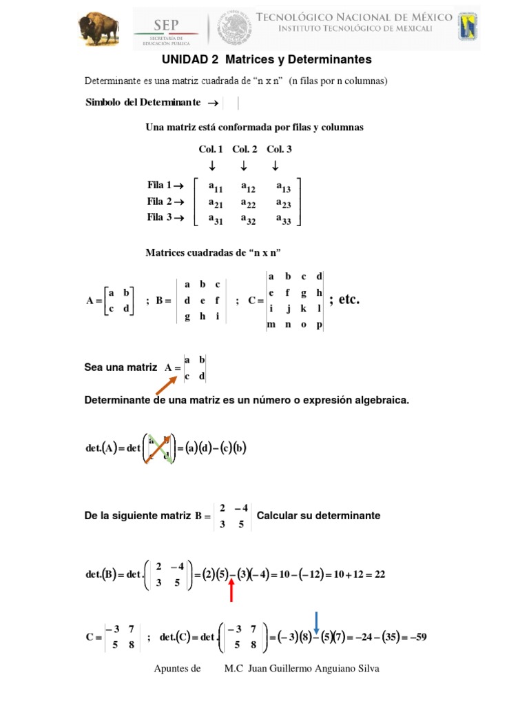 1 Matrices y Determinantes | PDF