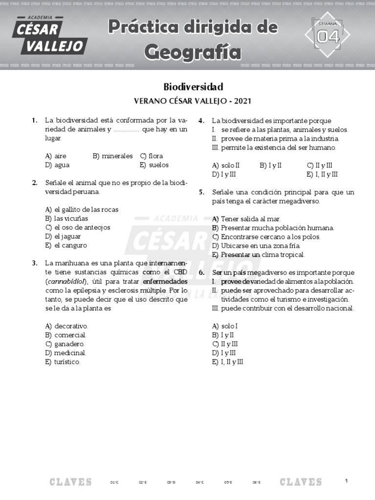 D VCV Diri Sem4 | PDF