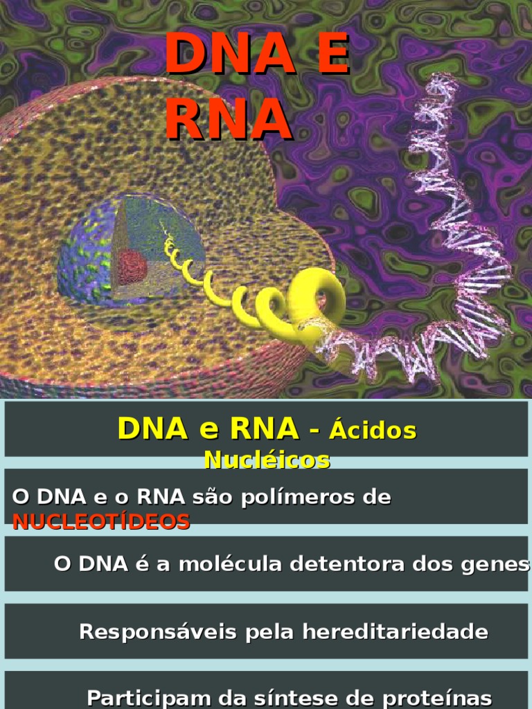 Dna e Rna | PDF | RNA | DNA
