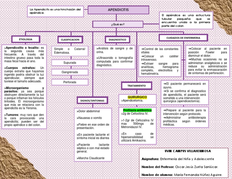 Mapa Conceptual de Apendicitis | PDF | Epidemiología | Gastroenterología