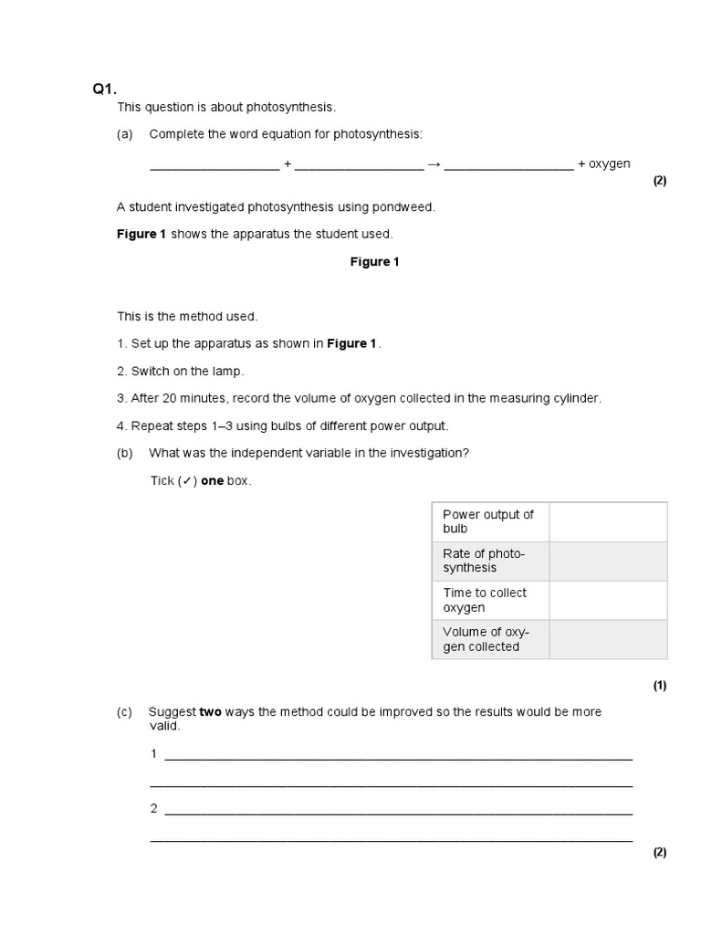 Photosynthesis Exam Questions | PDF | Carbon Dioxide | Photosynthesis