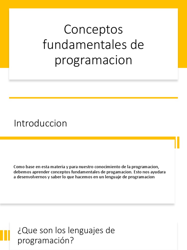 Conceptos Fundamentales de Programacion | PDF