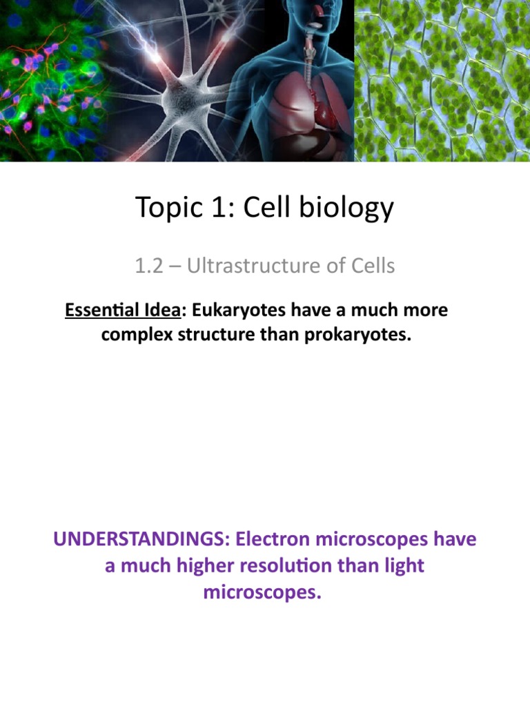 1.2 Ultrastructure of Cells | PDF | Cell (Biology) | Microscope
