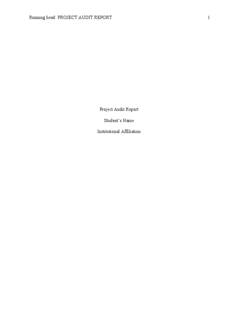 Project Audit Report | PDF | Goal | Databases