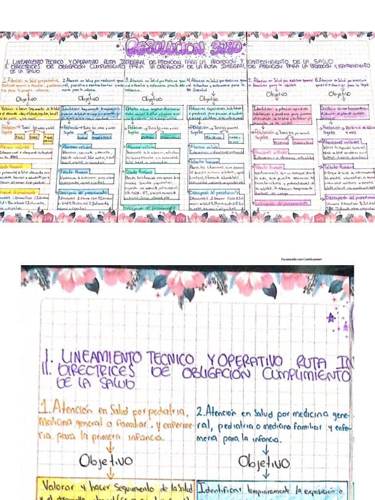 Resolución 3280 | PDF