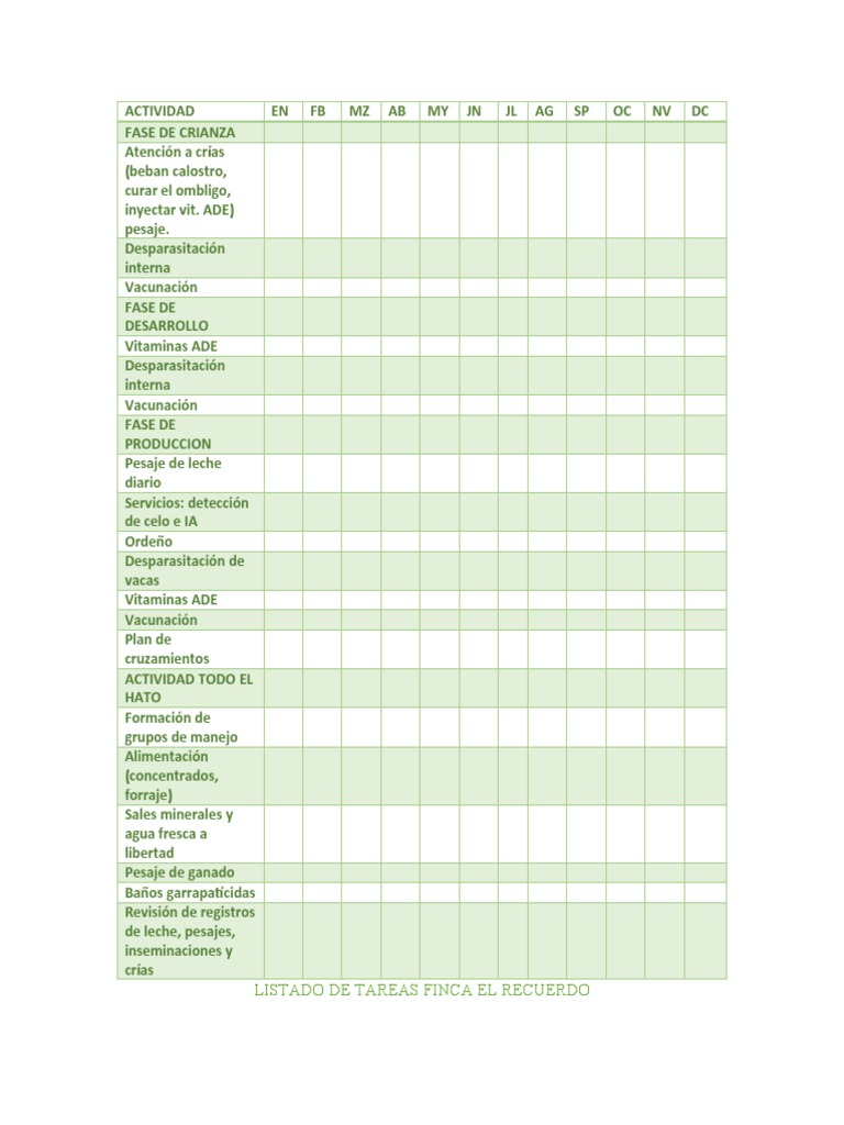 Listado de Tareas | PDF