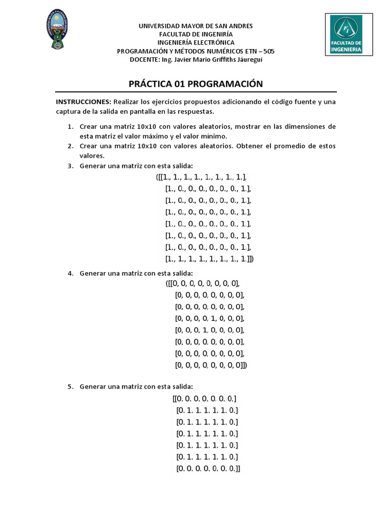 Práctica Programación - 01 | PDF