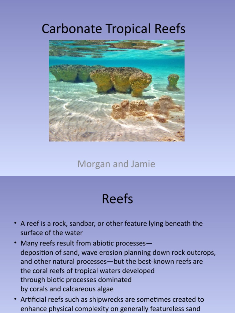 Carbonate Tropical Reefs: Morgan and Jamie | PDF | Coral Reef | Lagoon
