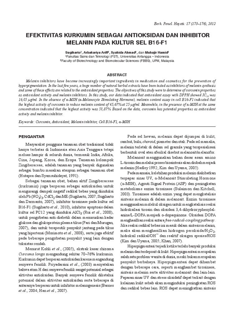 Efektivitas Kurkumin Sebagai Antioksidan | PDF | Sains & Matematika