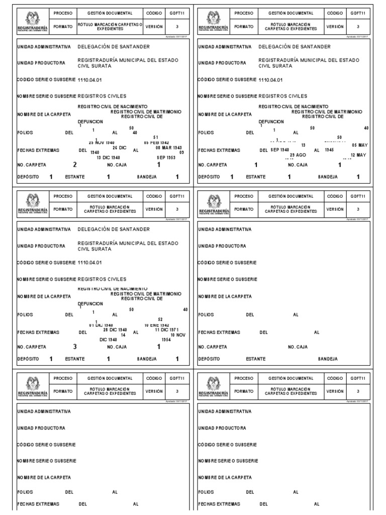 Rotulo Carpetas | PDF | Informática | Información del gobierno
