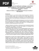 Morfología y Tipos de Aletas en Peces | PDF | Cordados | Pescado