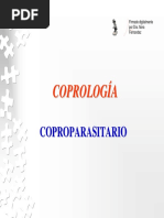 Enterobius vermicularis: Ciclo y Tratamiento | PDF | Epidemiología ...