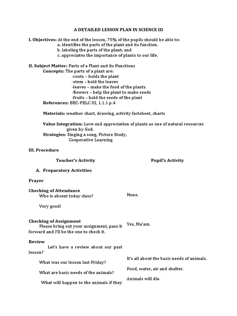 Lesson Plan For Practicum | PDF | Plants | Root