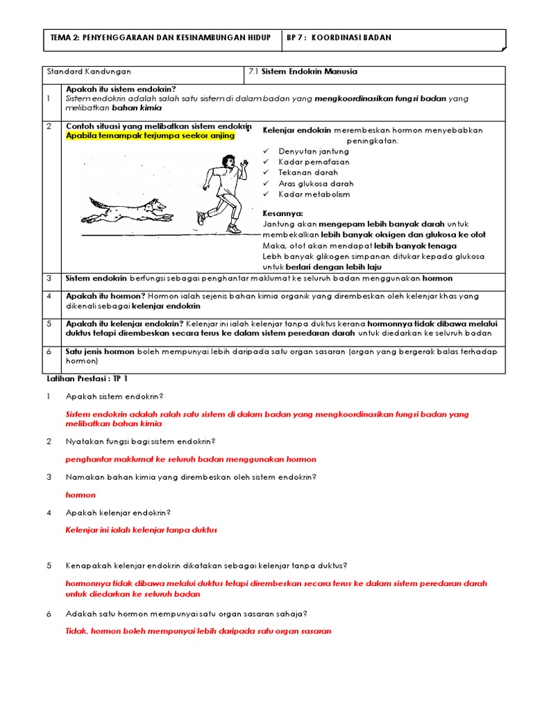 Kelenjar Endokrin Modul Ulas | PDF