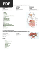 GACAR Part 5 - SMS | PDF | Safety | Risk