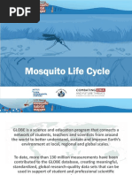 Life Cycle of Female Anopheles Mosquito | PDF | Mosquito | Fly