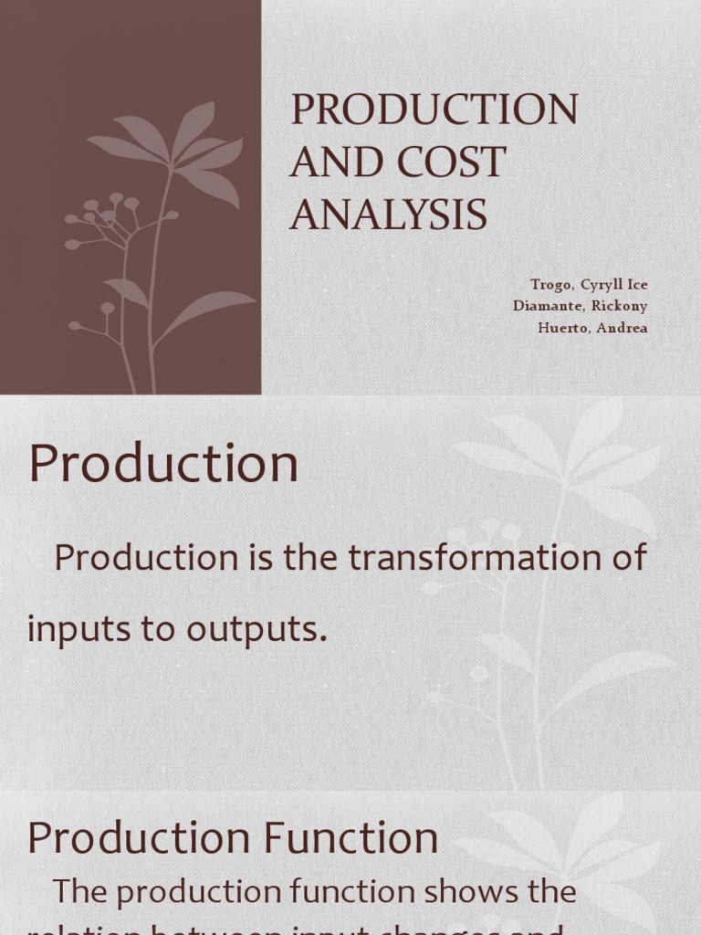 Production and Cost Analysis: Trogo, Cyryll Ice Diamante, Rickony ...