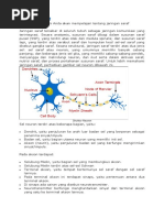 Bagian Neuron Dan Fungsinya | PDF