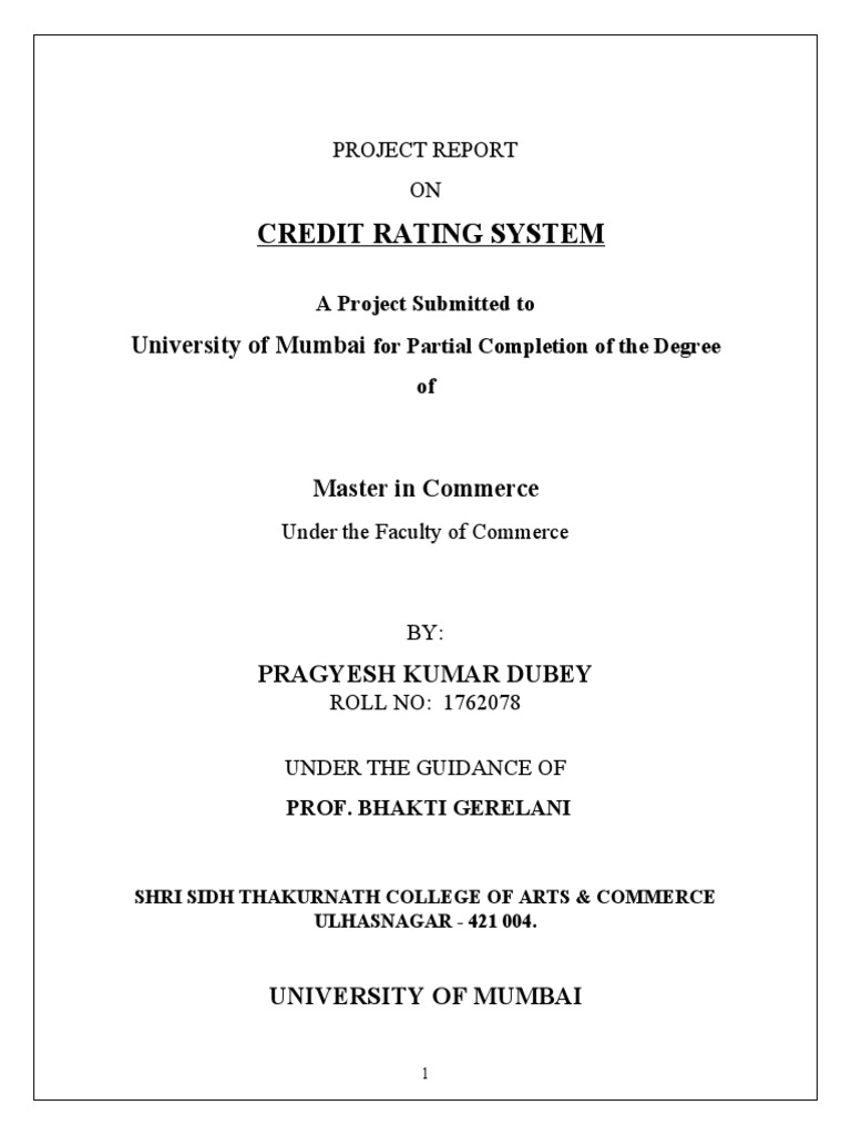 Project On Credit Rating System | PDF | Credit Rating Agency ...