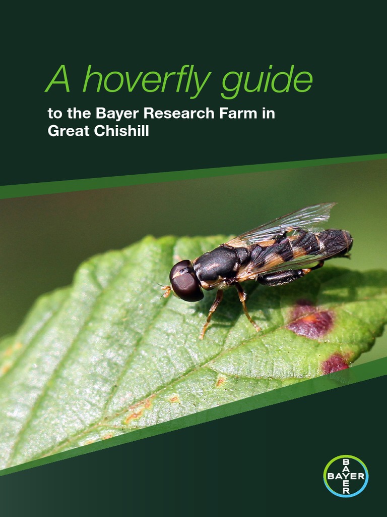 A Hoverfly Guide: To The Bayer Research Farm in Great Chishill | PDF | Mimicry | Bees