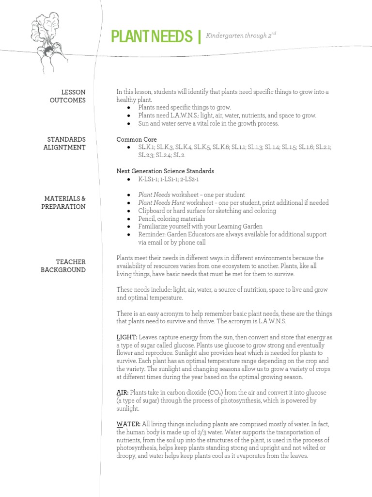 Identifying Plant Needs Through Observation and Worksheets | PDF ...