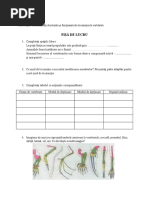 Biologie Clasa-Ix Test Initial | PDF