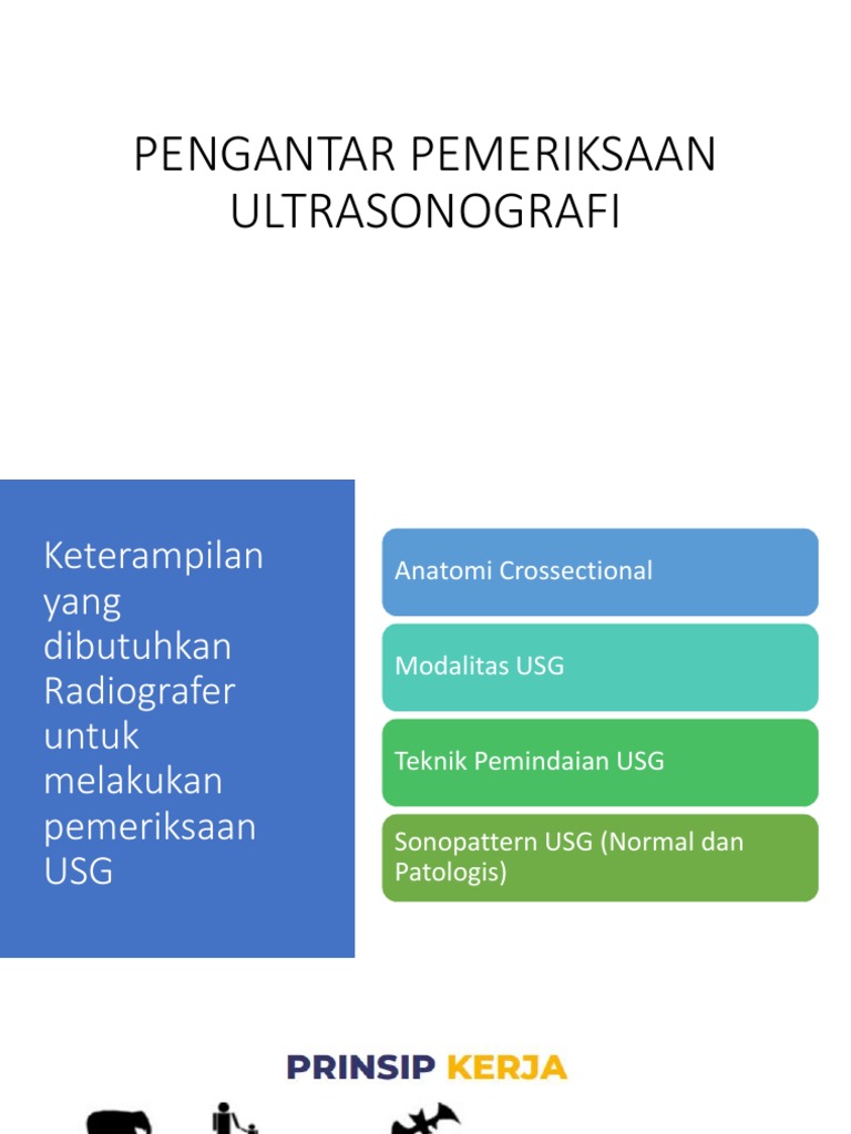Pengantar Usg | PDF
