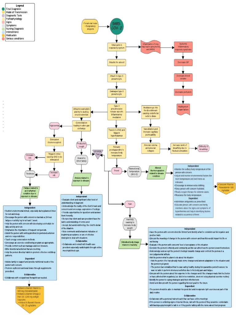 Concept Map Sample | PDF | Inflammation | Clinical Medicine