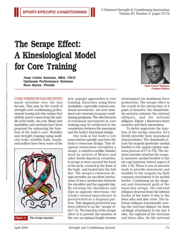 The Serape Effect: A Kinesiological Model For Core Training: Sport ...