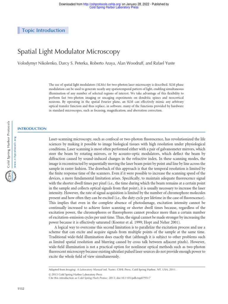 Spatial Light Modulator Micros | PDF | Microscopy | Optics